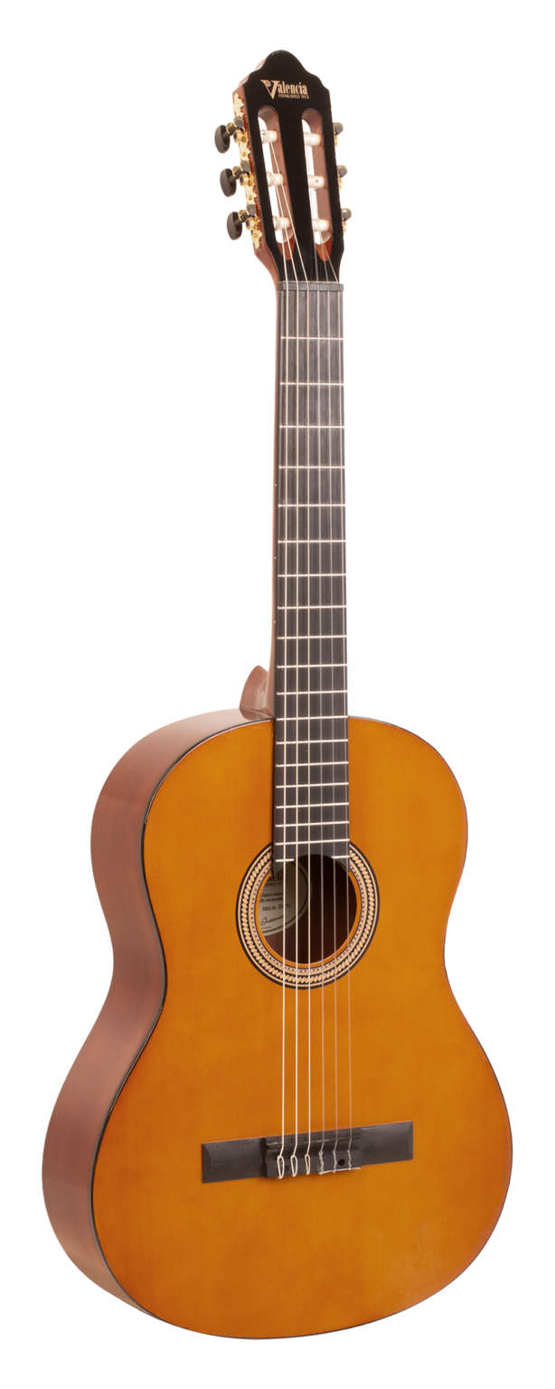 260 Series – Valencia Guitars